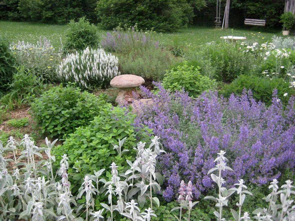 22 Aromatic Herbs Garden Ideas Worth a Look | SharonSable