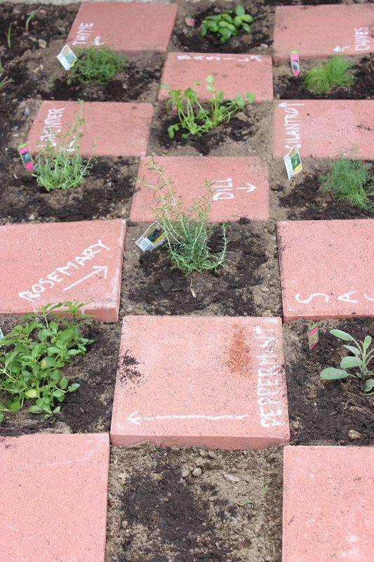 22 Aromatic Herbs Garden Ideas Worth a Look | SharonSable