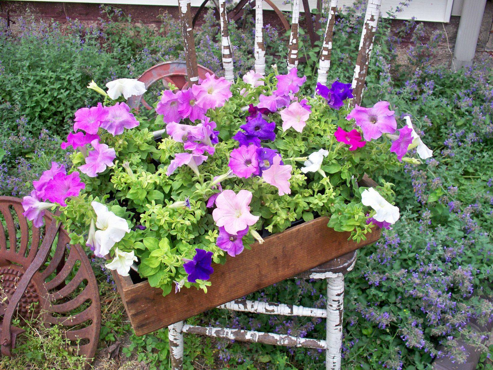 24 Country Primitive Garden Decor Ideas For This Year | SharonSable