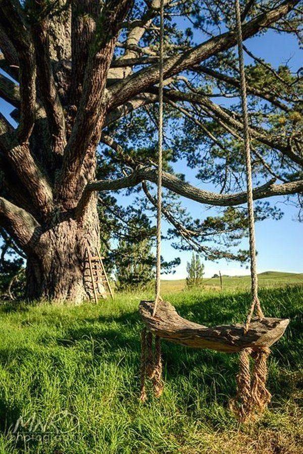 23 Garden Tree Swing Ideas You Cannot Miss | SharonSable