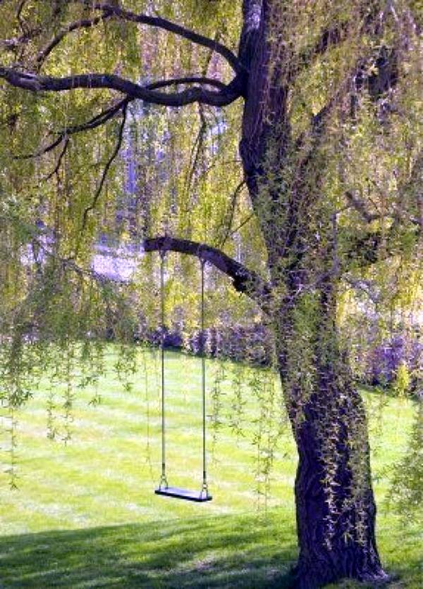 23 Garden Tree Swing Ideas You Cannot Miss | SharonSable