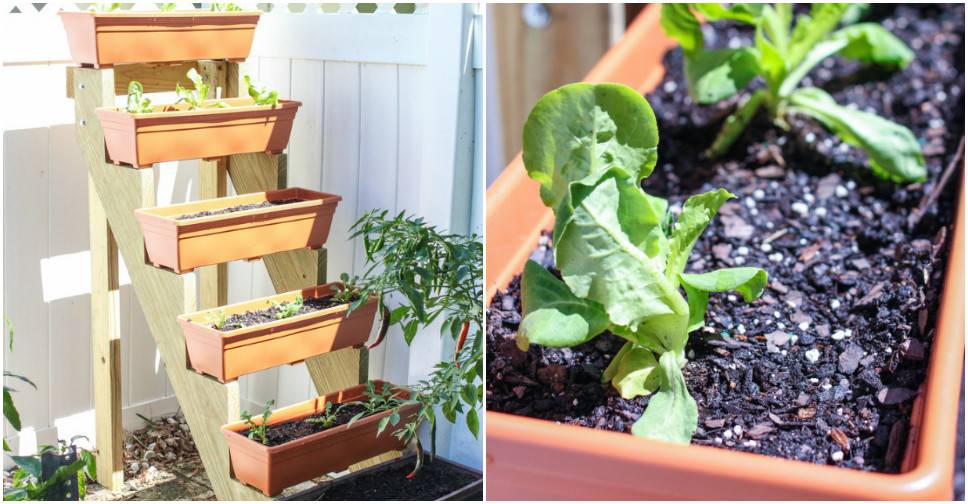 21 DIY Herb Garden Planter Build Ideas To Consider | SharonSable