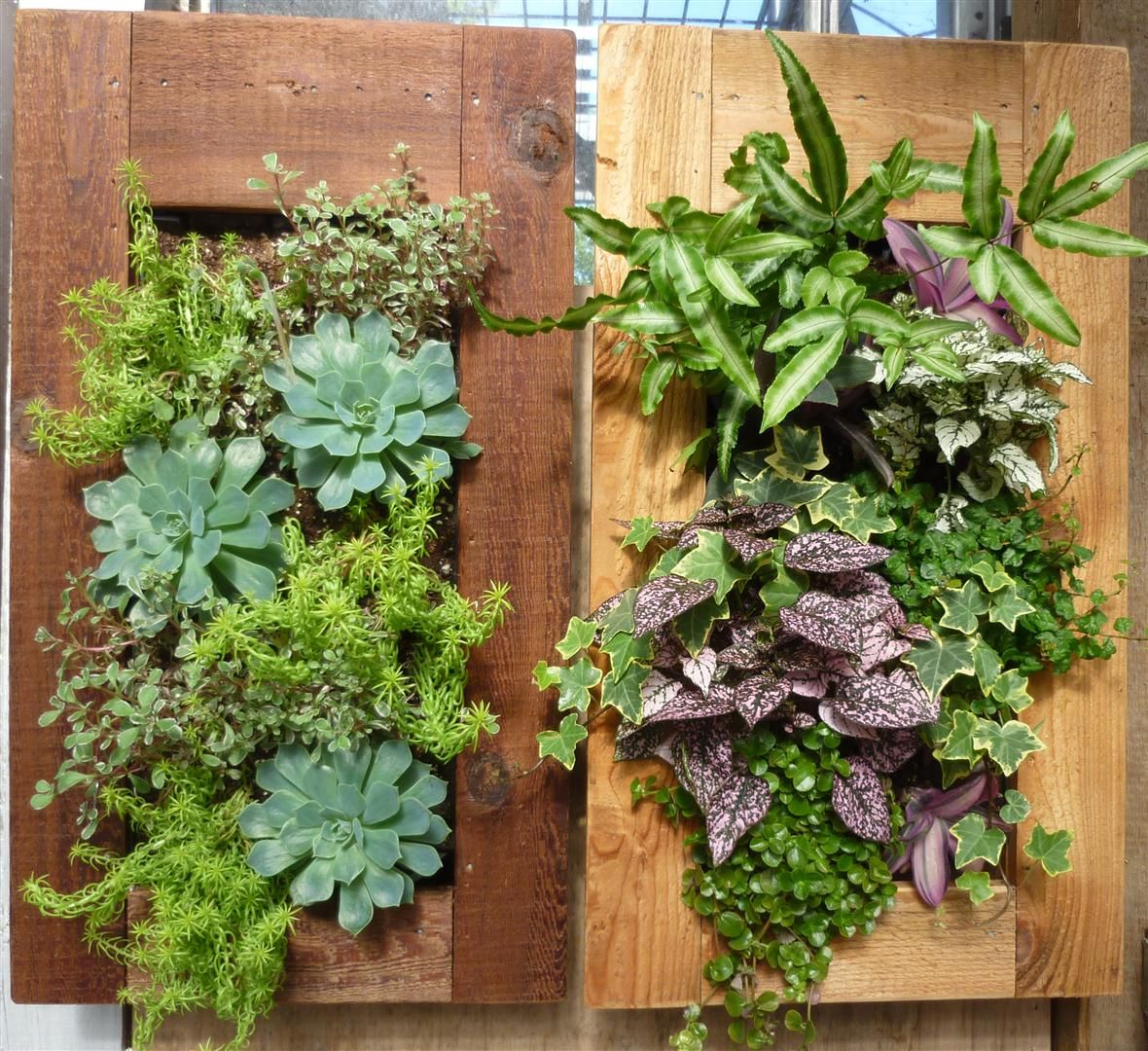 18 Garden Wall Planters Ideas You Should Check | SharonSable
