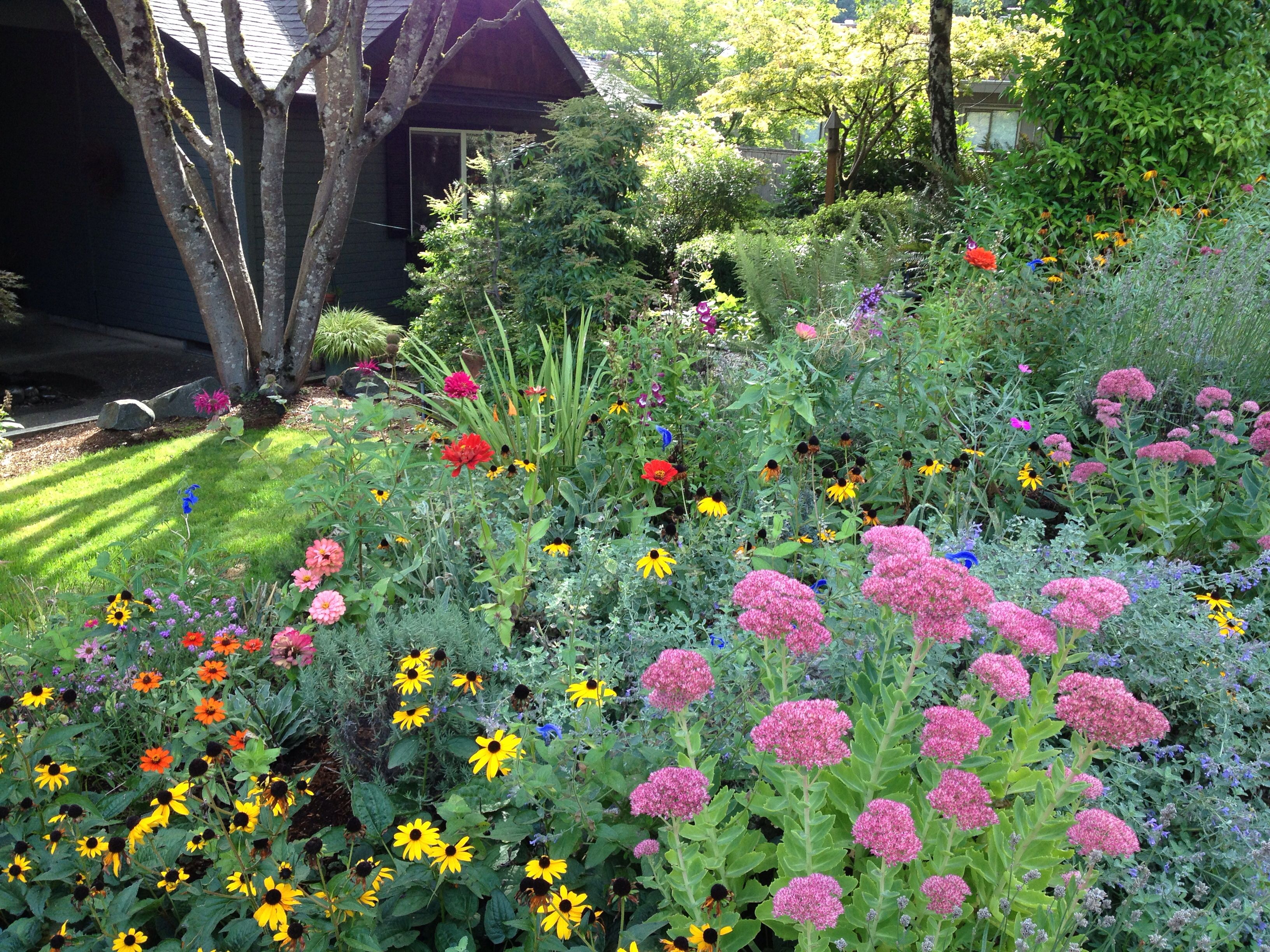 24 Fall Flower Perennial Garden Ideas To Try This Year | SharonSable