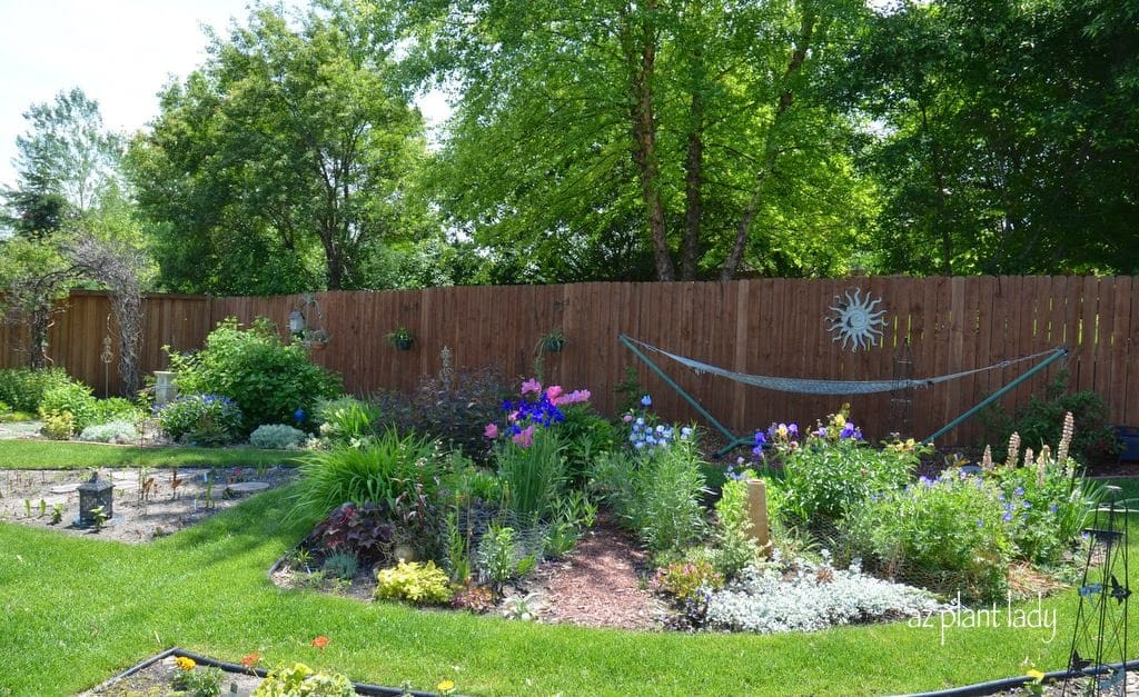 20 Minnesota Perennial Garden Ideas Basic To Try This Year | SharonSable