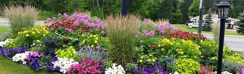 20 Minnesota Perennial Garden Ideas Basic To Try This Year | SharonSable