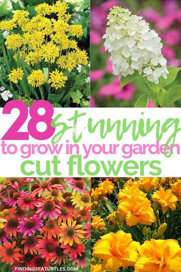 21 Garden Flowers Names Ideas You Must Look | SharonSable