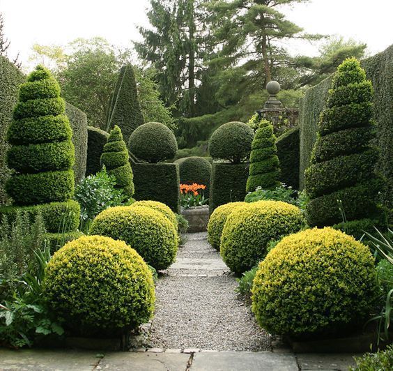 24 Topiary Garden Ideas Worth a Look | SharonSable