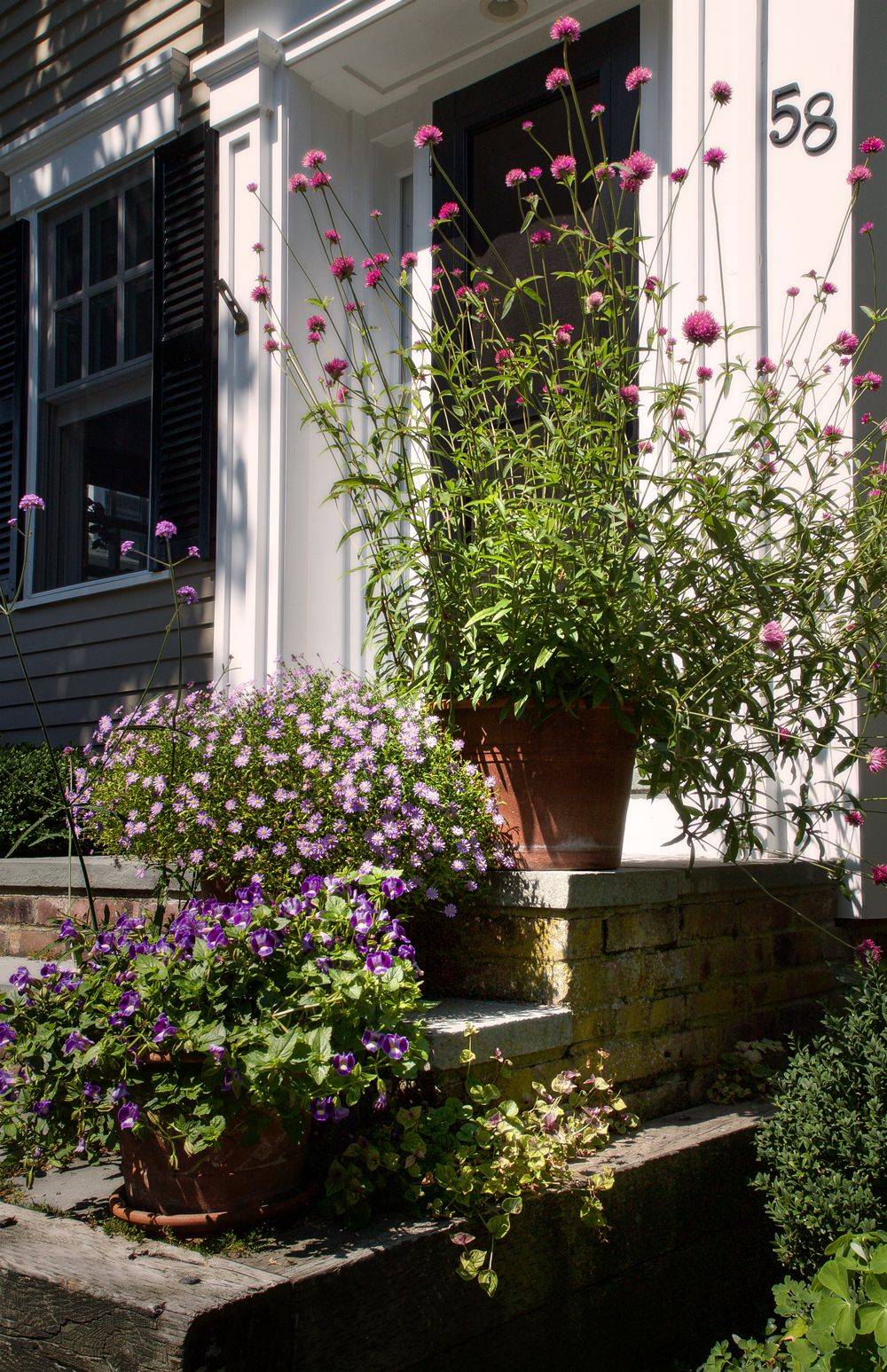 17 Cape Cod Garden Design Ideas You Should Check | SharonSable