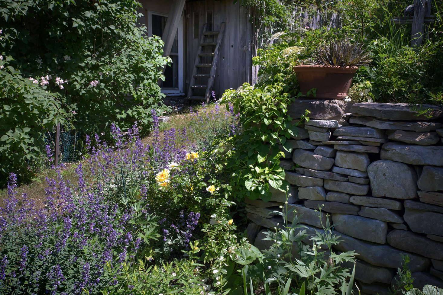 17 Cape Cod Garden Design Ideas You Should Check | SharonSable