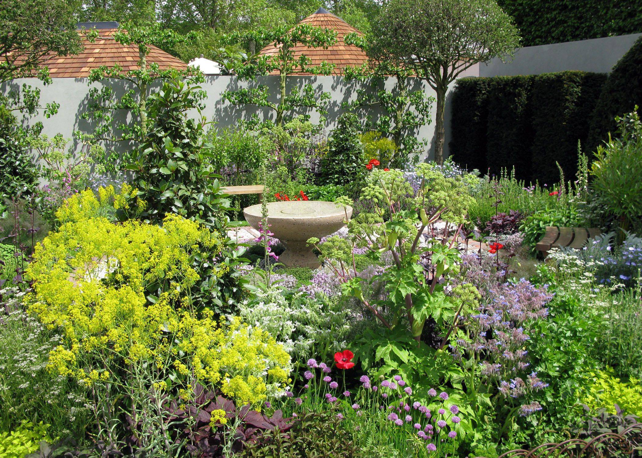 17 Medicinal Herbs Garden Ideas Worth a Look | SharonSable