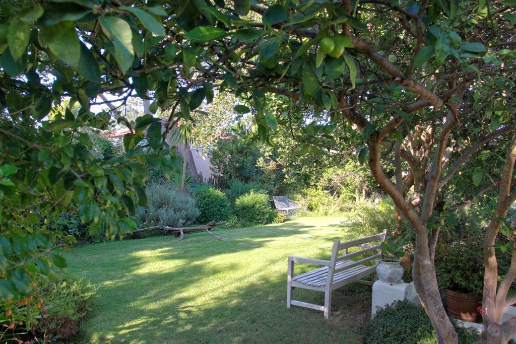 20 Sunny Garden Corner Ideas You Should Look | SharonSable