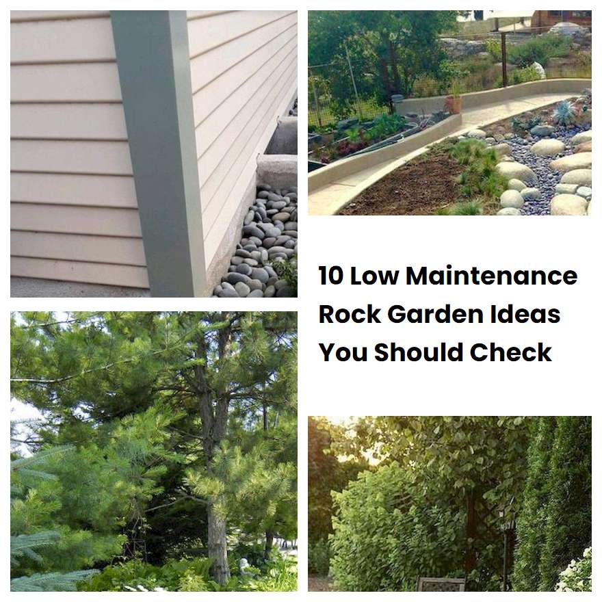 10 Low Maintenance Rock Garden Ideas You Should Check | SharonSable