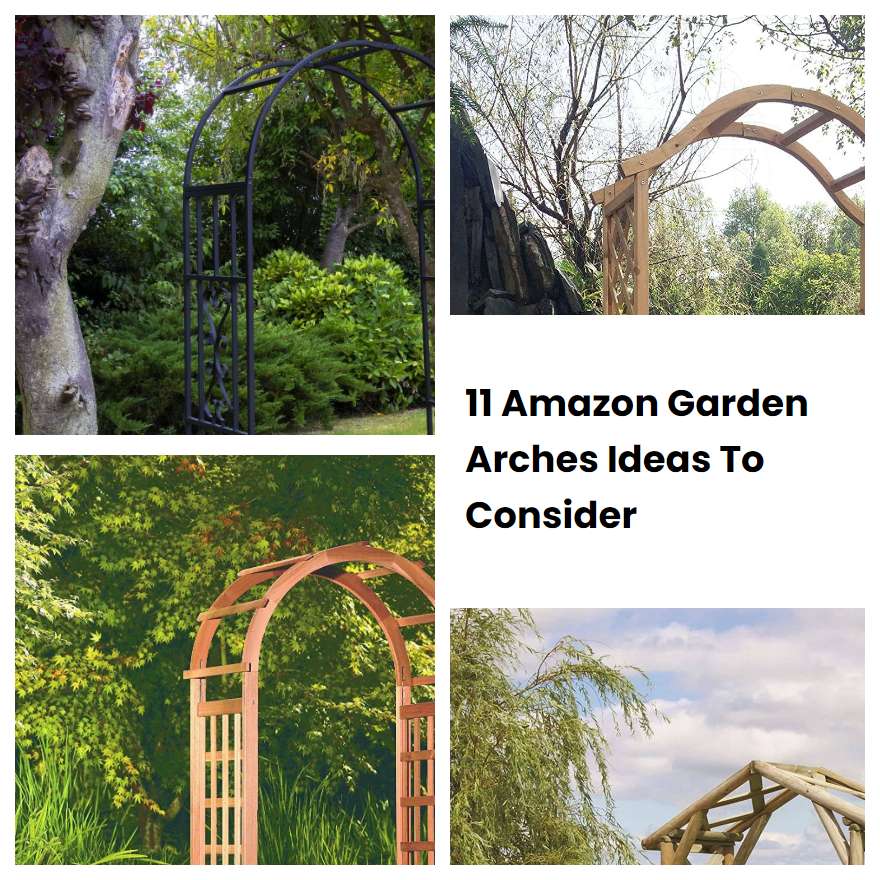 11 Amazon Garden Arches Ideas To Consider | SharonSable