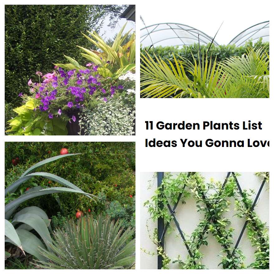 11 Garden Plants List Ideas You Gonna Love | SharonSable