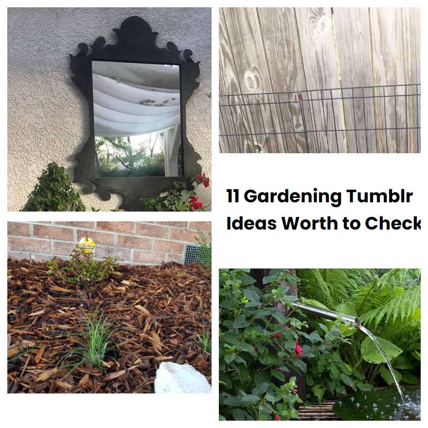 11 Gardening Tumblr Ideas Worth to Check | SharonSable