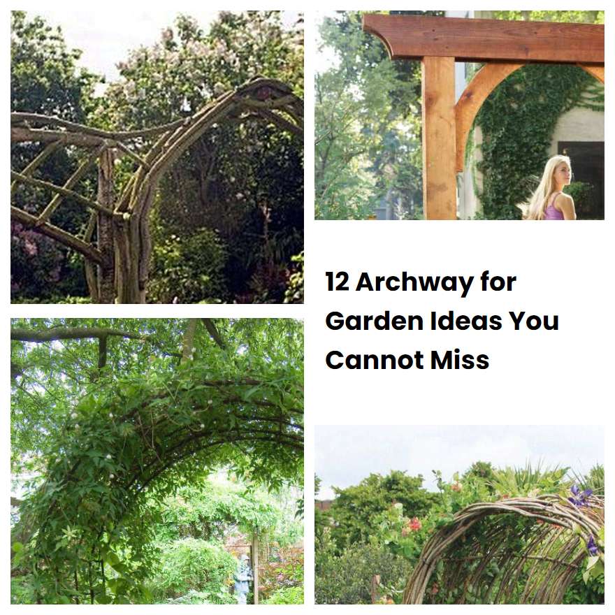 12 Archway for Garden Ideas You Cannot Miss | SharonSable