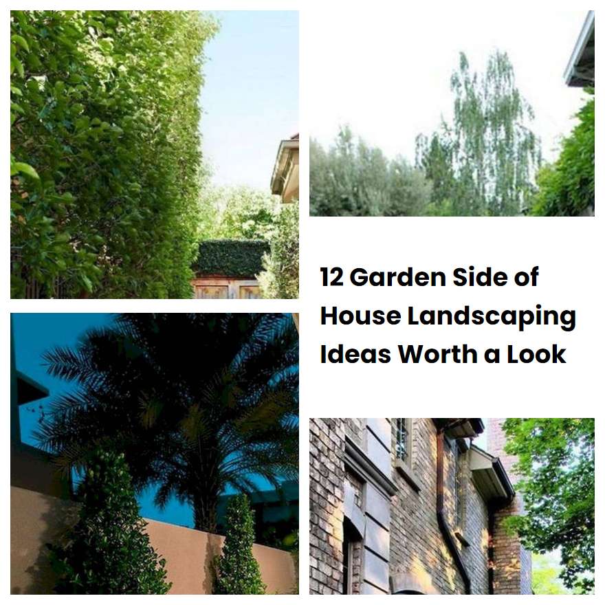 21 Triangle Garden Ideas You Cannot Miss | SharonSable