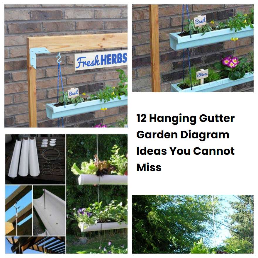 12 Hanging Gutter Garden Diagram Ideas You Cannot Miss | SharonSable