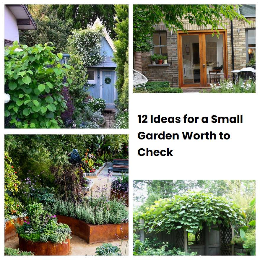 12 Ideas for a Small Garden Worth to Check | SharonSable