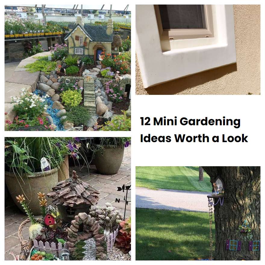 12 Mini Gardening Ideas Worth a Look | SharonSable