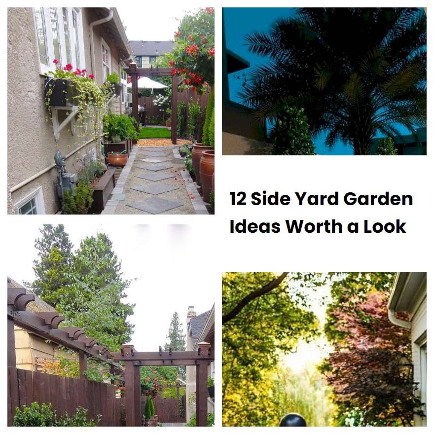 12 Side Yard Garden Ideas Worth a Look | SharonSable