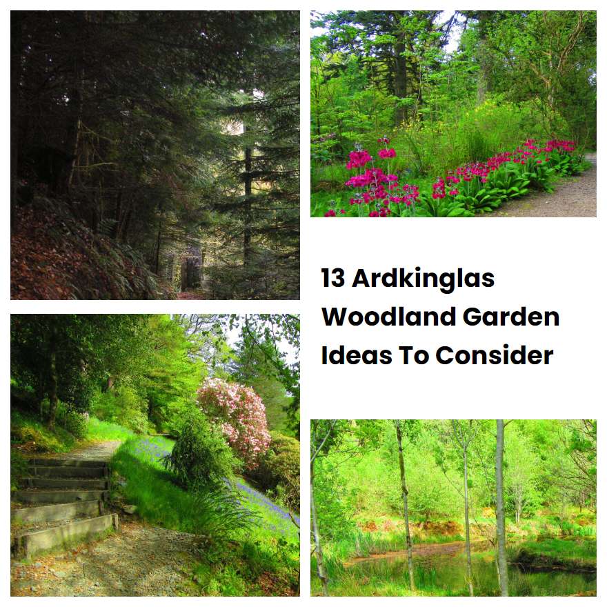 13 Ardkinglas Woodland Garden Ideas To Consider | SharonSable