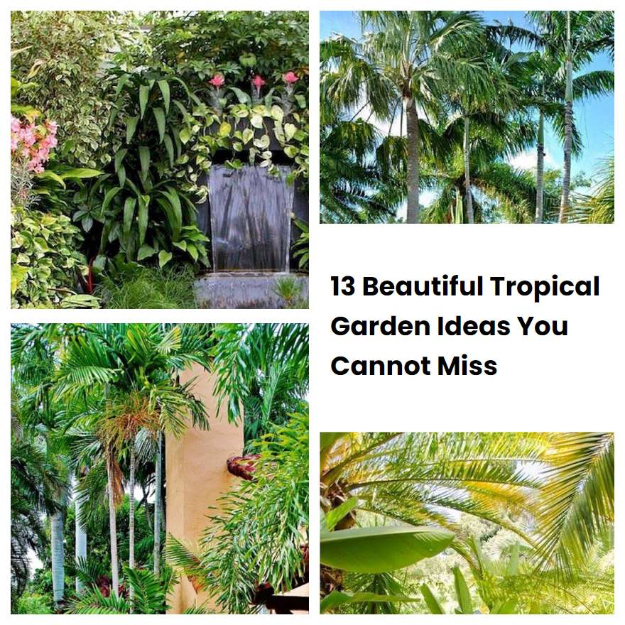 13 Beautiful Tropical Garden Ideas You Cannot Miss | SharonSable