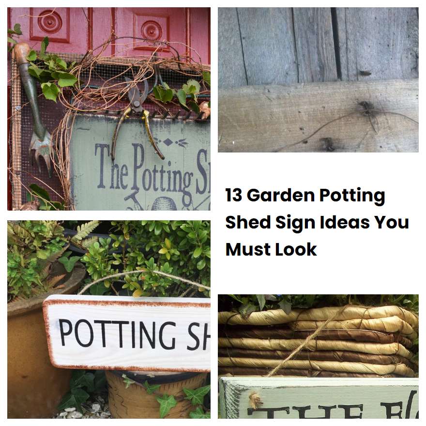 15 Chicken Wire Garden Arch Ideas You Should Look | SharonSable