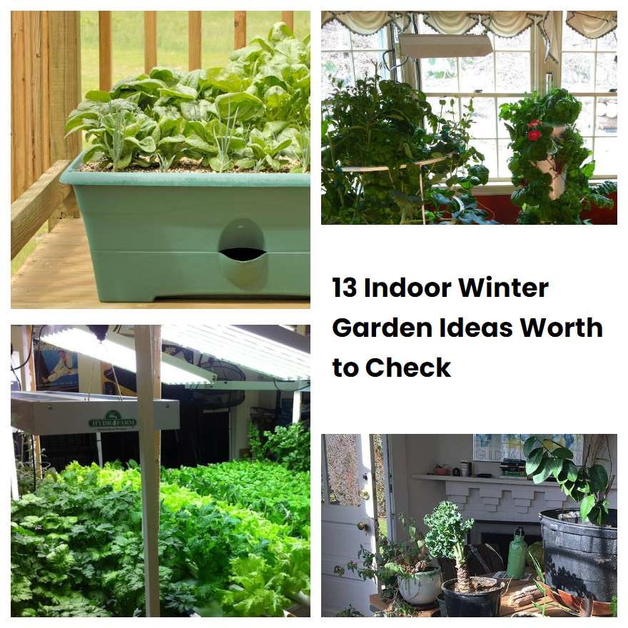 13 Indoor Winter Garden Ideas Worth to Check | SharonSable