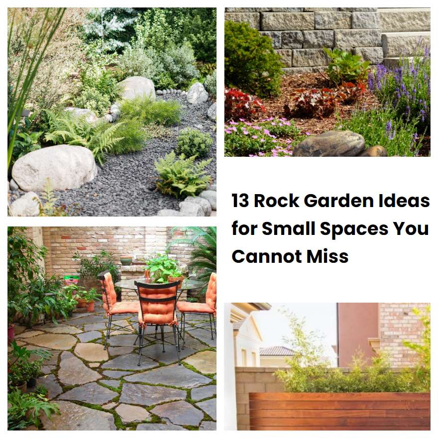 13 Rock Garden Ideas for Small Spaces You Cannot Miss | SharonSable