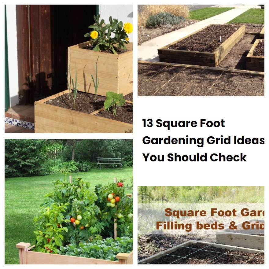 13 Square Foot Gardening Grid Ideas You Should Check | SharonSable