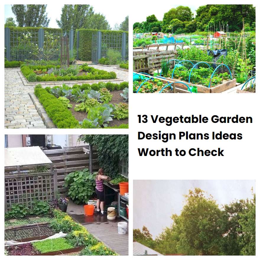 13 Vegetable Garden Design Plans Ideas Worth to Check | SharonSable
