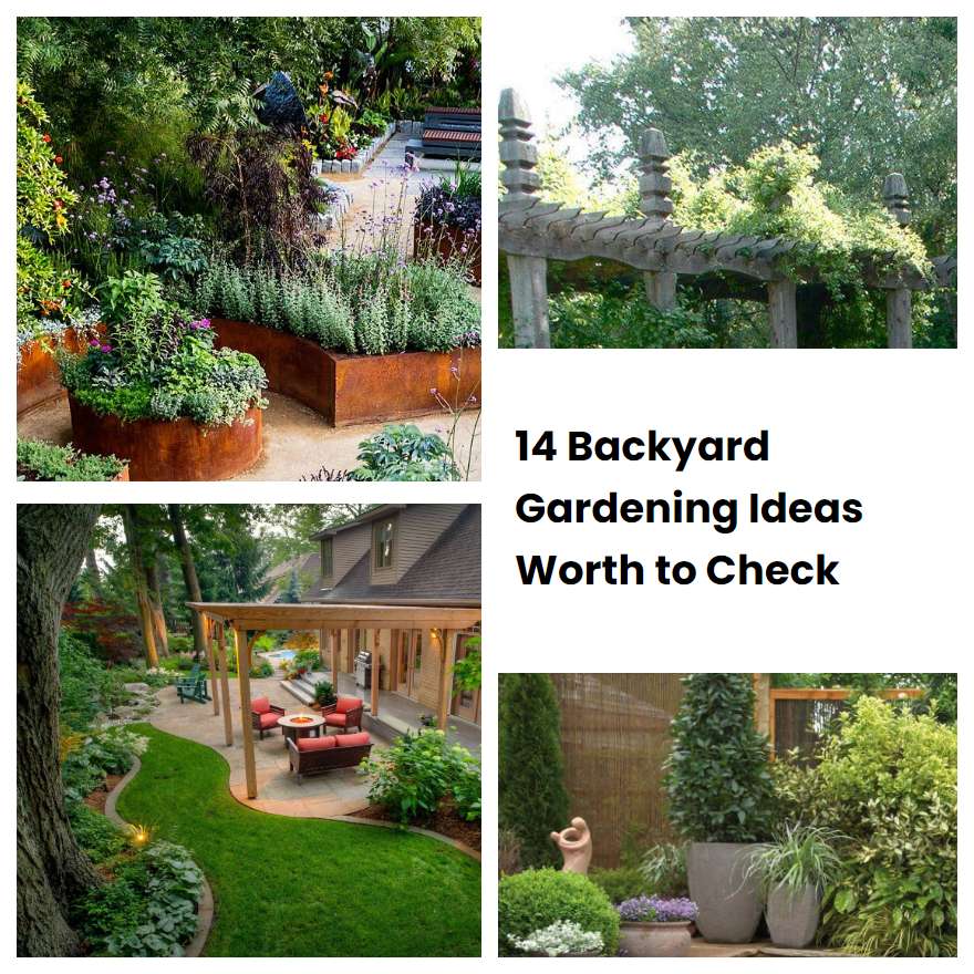 18 Unusual Succulent Container Garden Ideas You Cannot Miss | SharonSable