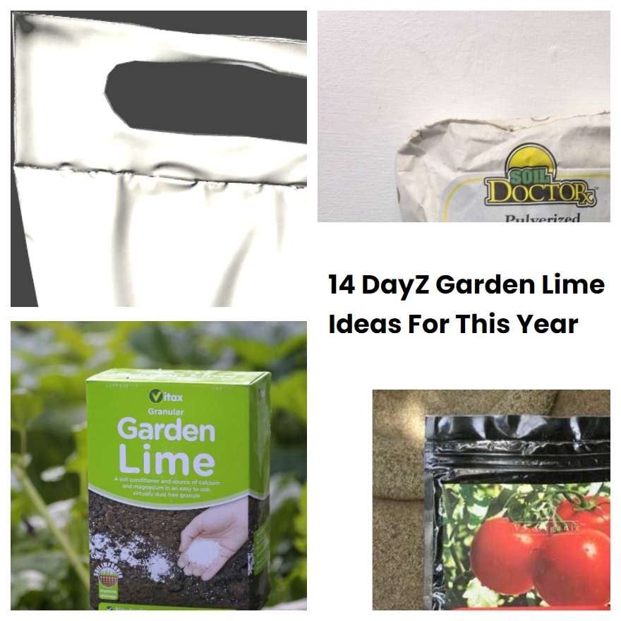 14 DayZ Garden Lime Ideas For This Year | SharonSable