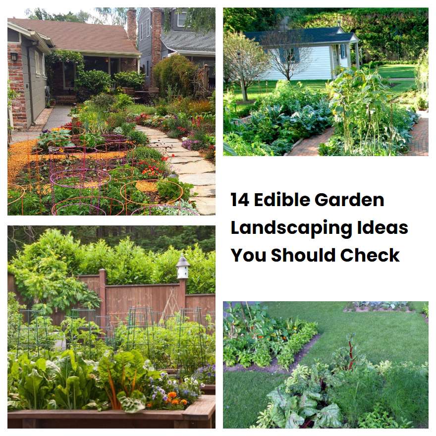 14 Edible Garden Landscaping Ideas You Should Check | SharonSable