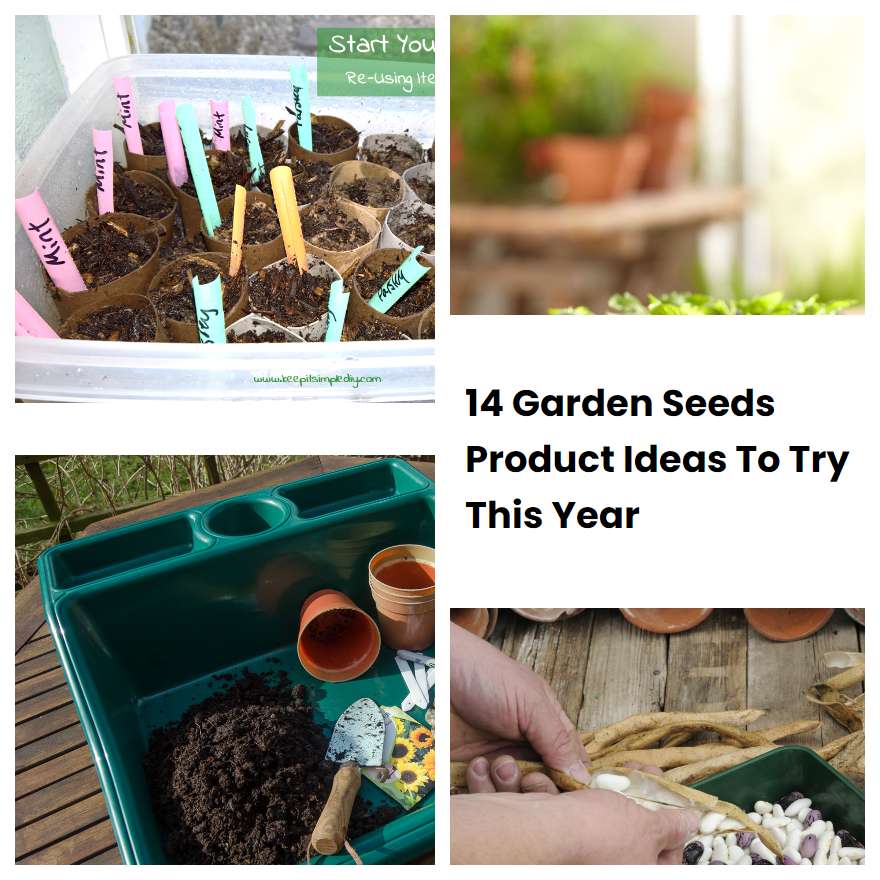 14 Garden Seeds Product Ideas To Try This Year Sharonsable