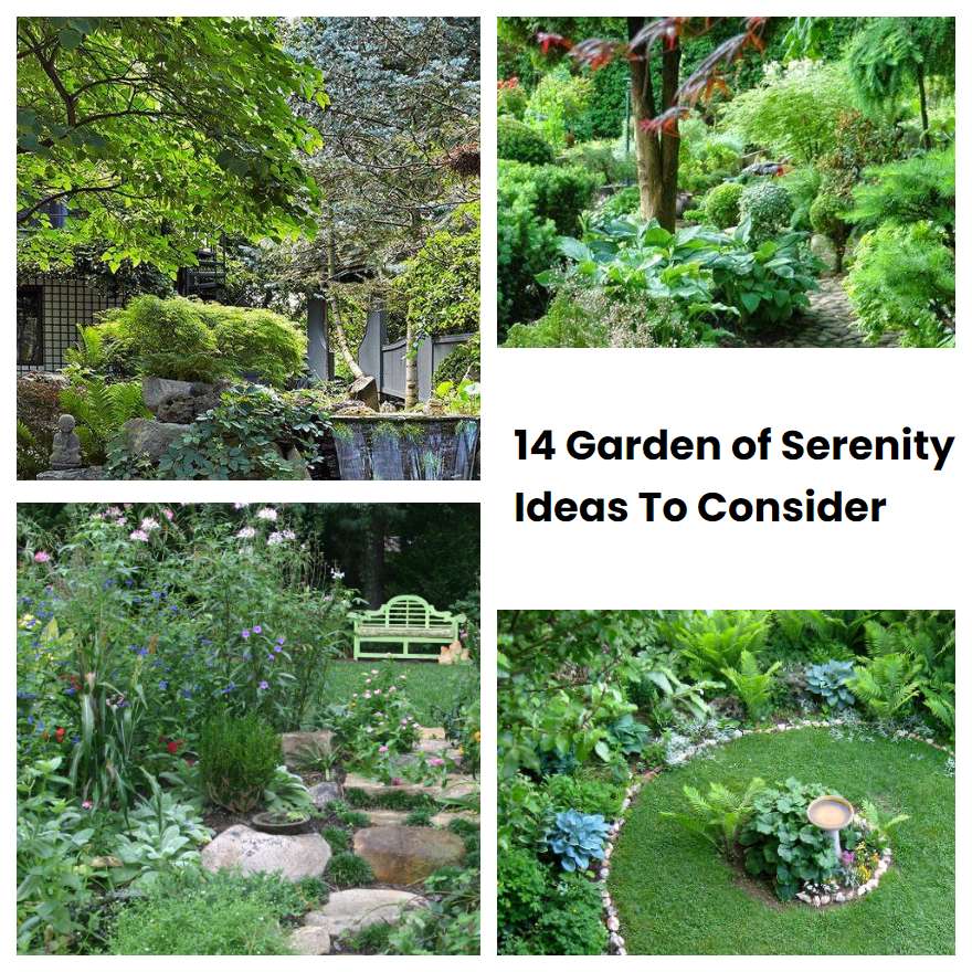 14 Garden of Serenity Ideas To Consider | SharonSable