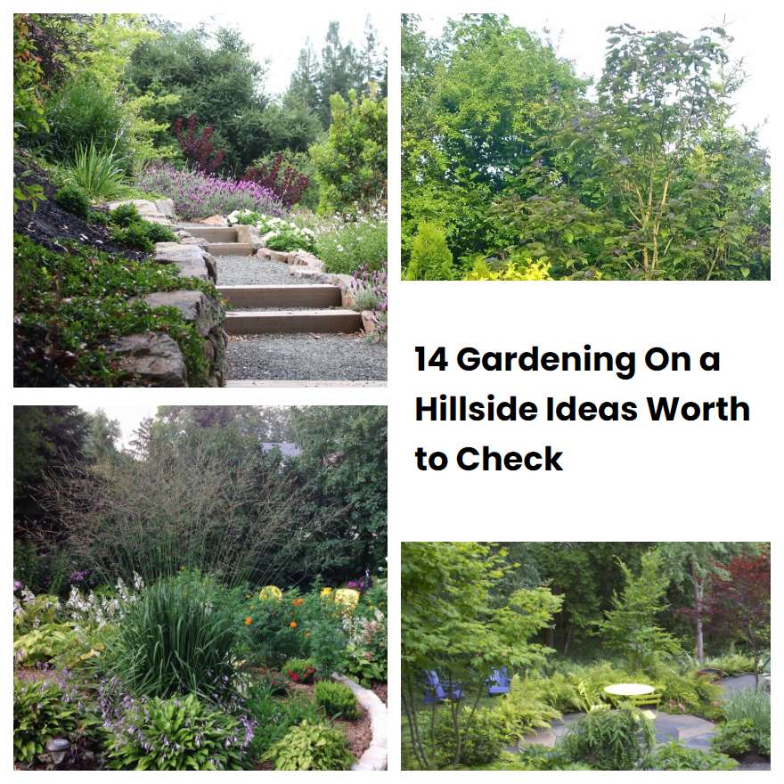 14 Gardening On a Hillside Ideas Worth to Check | SharonSable
