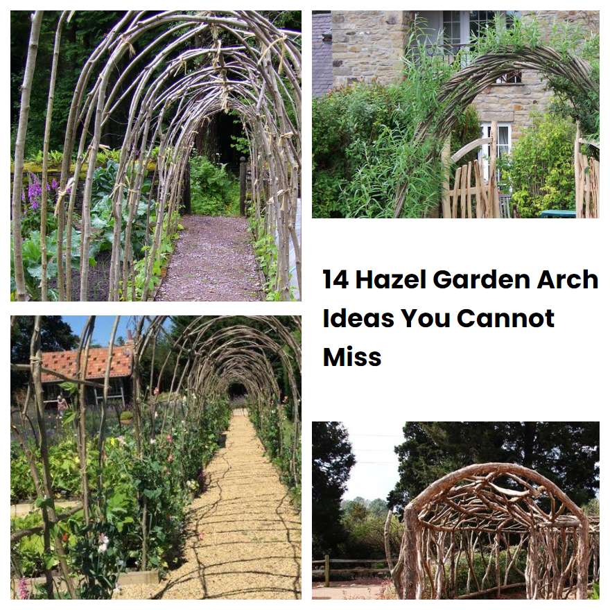 14 Hazel Garden Arch Ideas You Cannot Miss | SharonSable