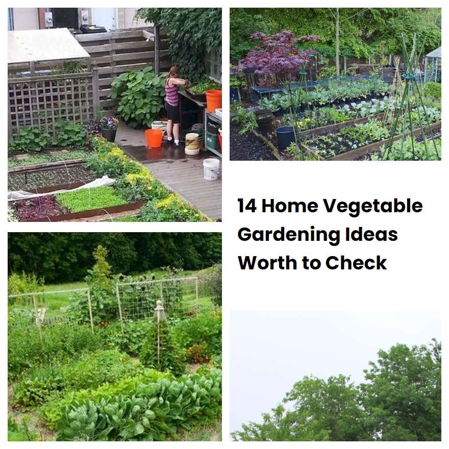 14 Home Vegetable Gardening Ideas Worth to Check | SharonSable