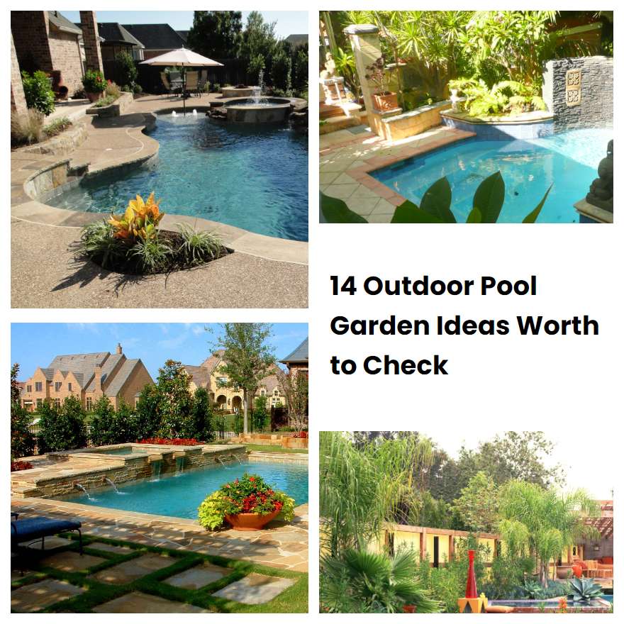 24 Deep Shade Garden Plants Ideas To Consider | SharonSable