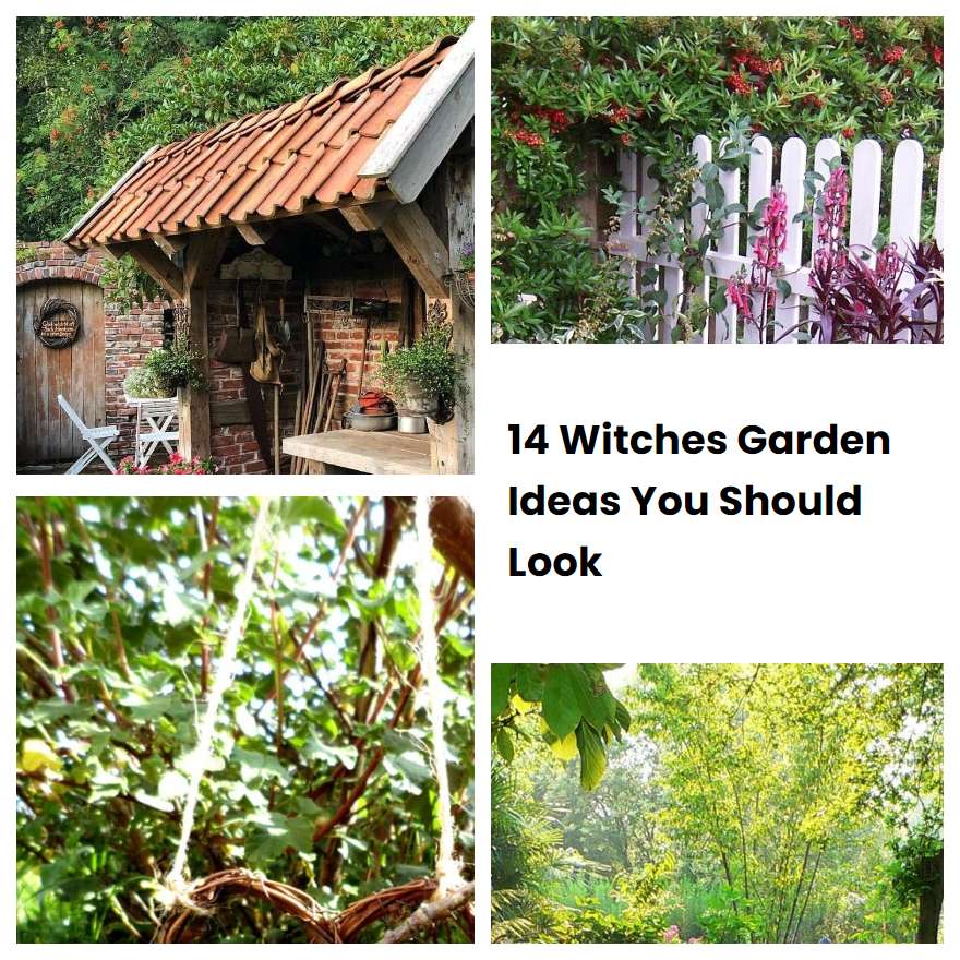 14 Witches Garden Ideas You Should Look | SharonSable