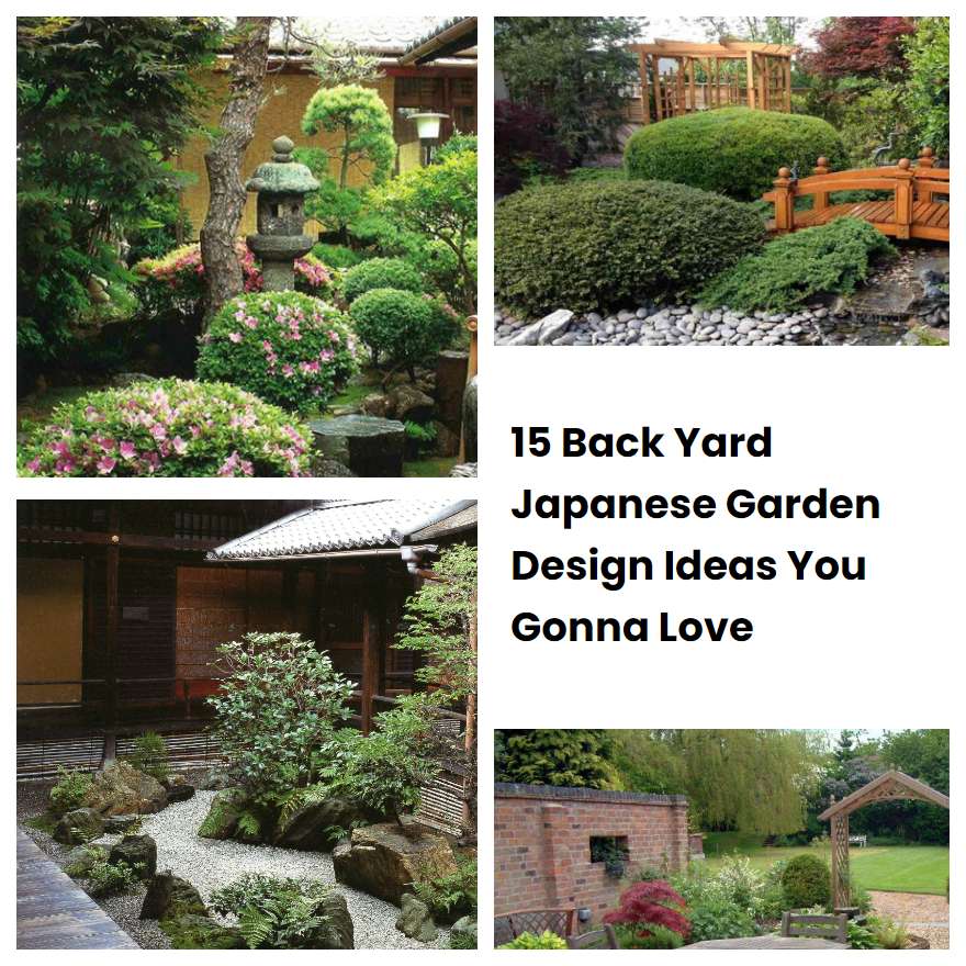 22 Miniature Rose Garden Ideas You Should Check | SharonSable