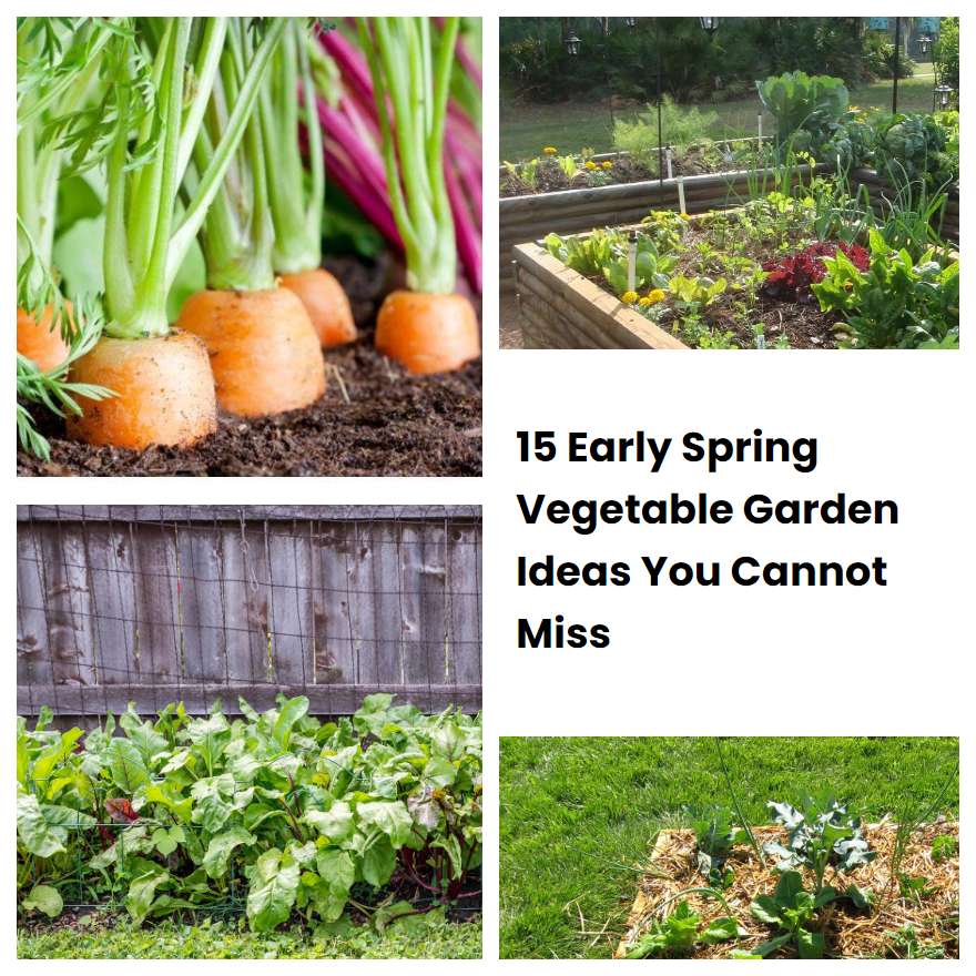 15 Early Spring Vegetable Garden Ideas You Cannot Miss | SharonSable