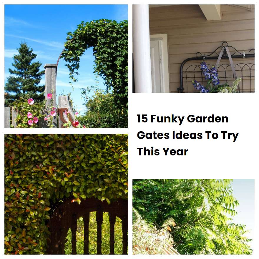 15 Funky Garden Gates Ideas To Try This Year | SharonSable