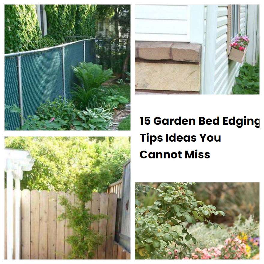 15 Garden Bed Edging Tips Ideas You Cannot Miss | SharonSable