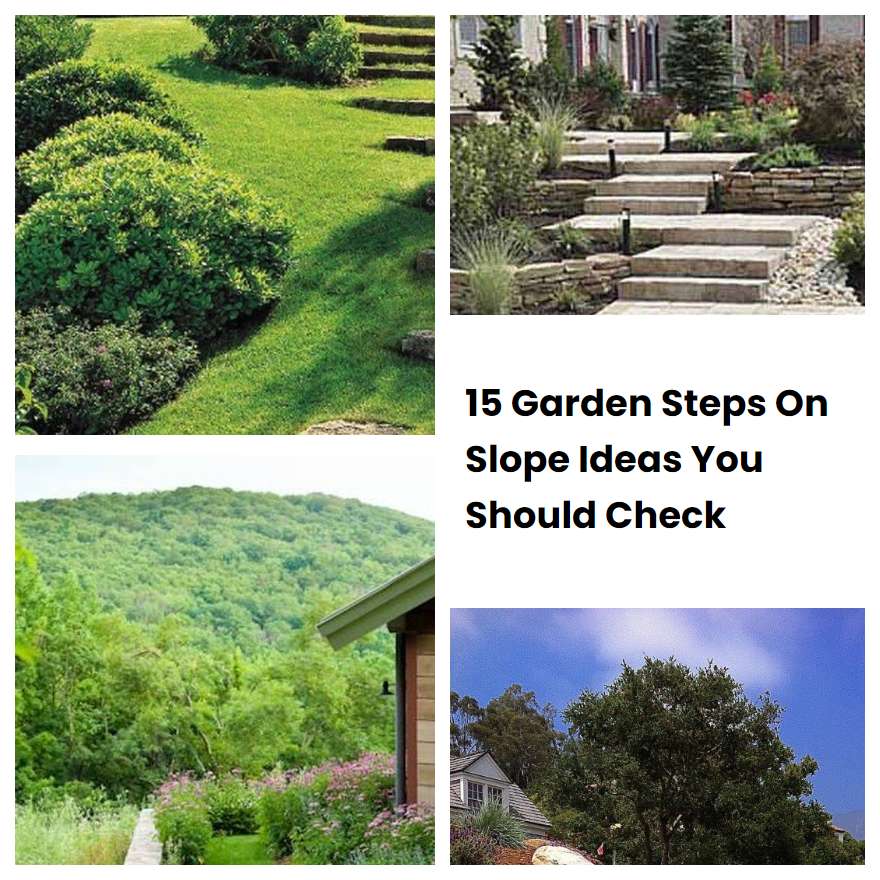 15 Garden Steps On Slope Ideas You Should Check | SharonSable