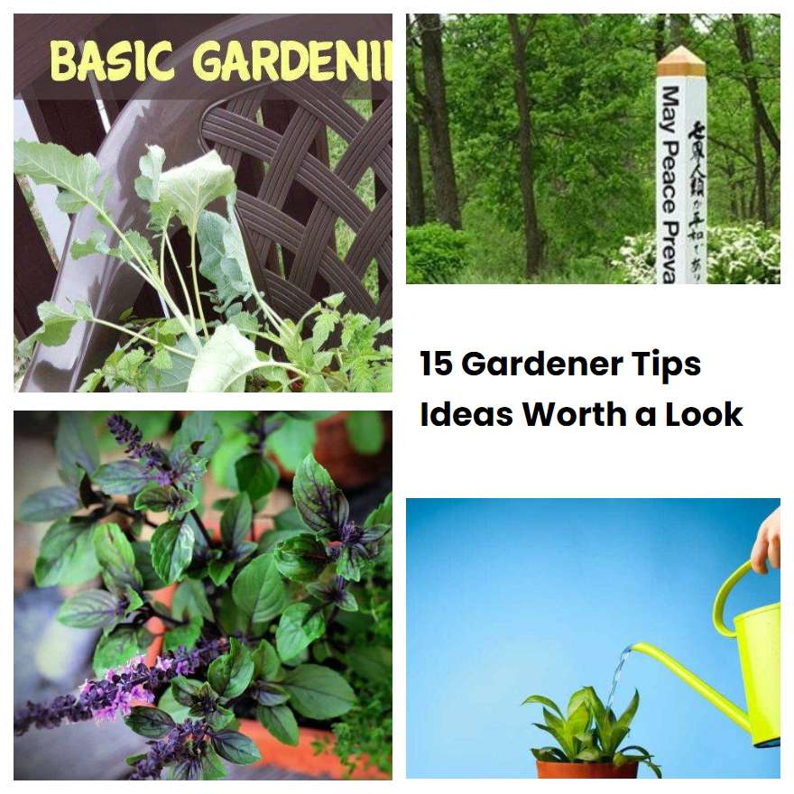 15 Gardener Tips Ideas Worth a Look | SharonSable