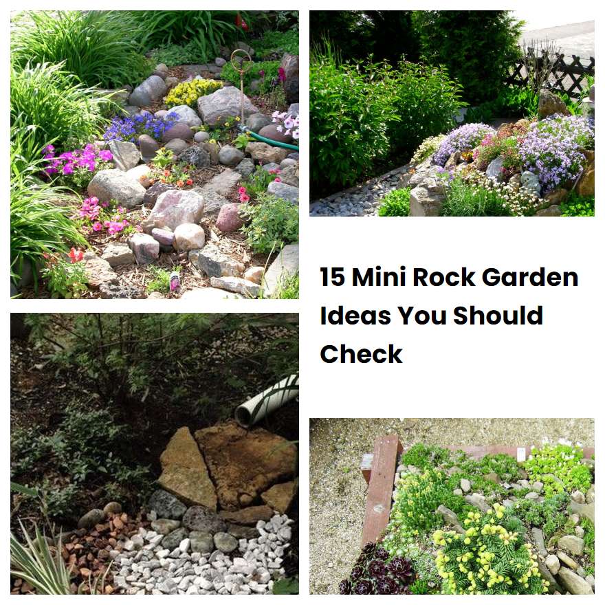 15 Mini Rock Garden Ideas You Should Check | SharonSable